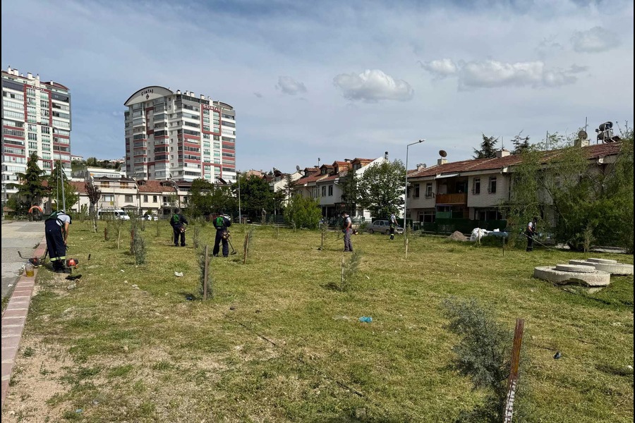 Yenimahalle Belediyesi